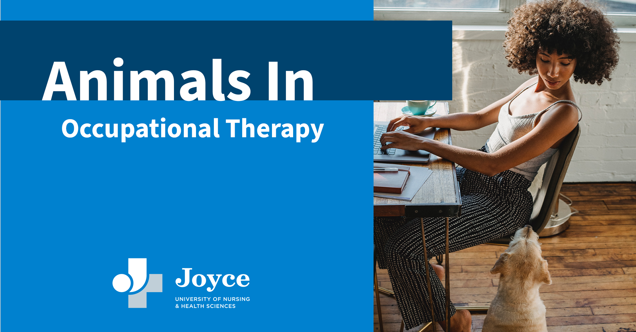 Occupational Therapy Animals Joyce Occupational Therapy Animals Joyce